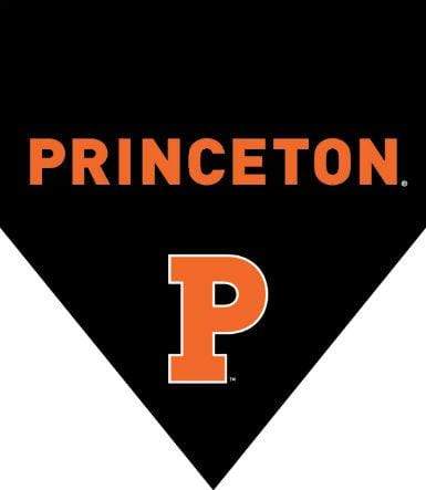 Princeton P Logo
