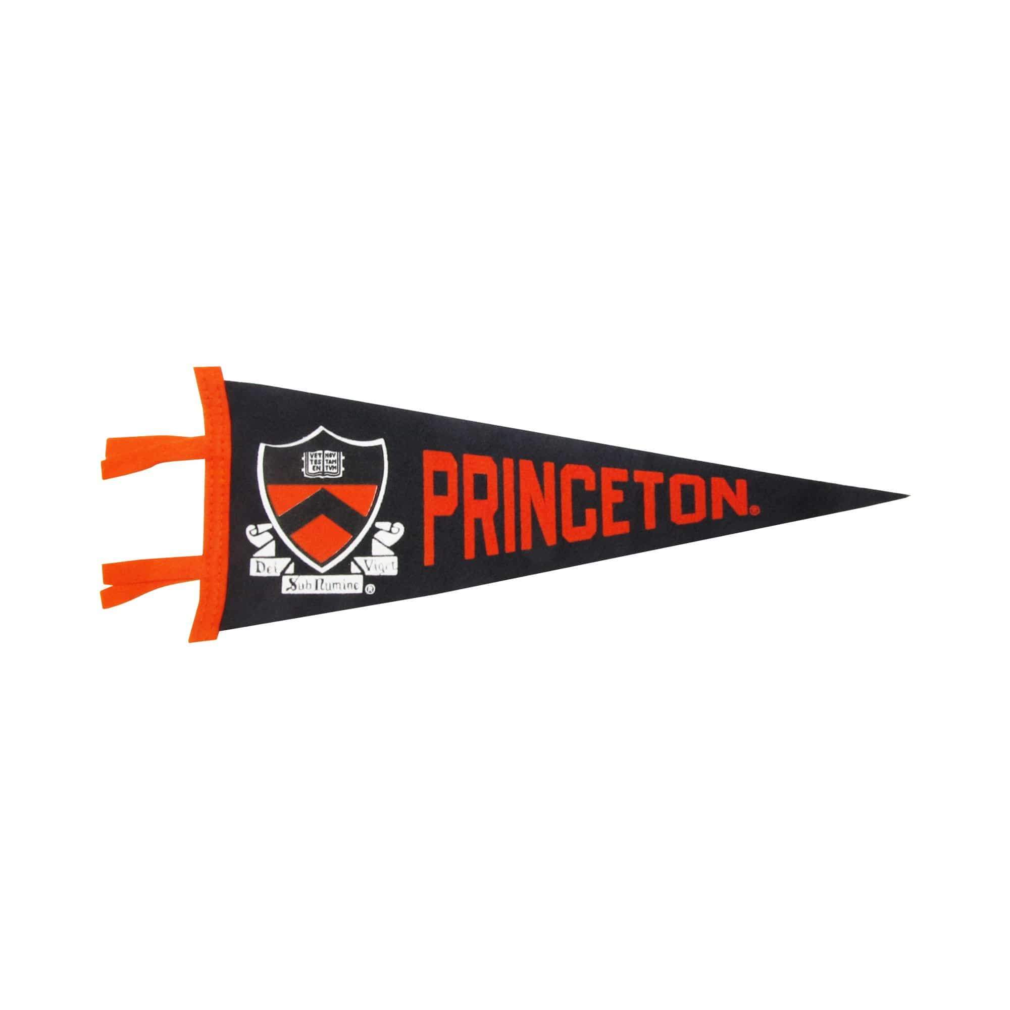 Princeton University Flag
